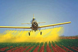 BANNED LOCUST CONTROL CHEMICALS MAY EXPOSE HUMANS, FOOD CROPS AND ...